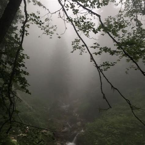 Pin By Zen On Z Nature Aesthetic Beautiful Nature Scenery