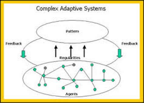 Complex Adaptive System Assignment Point