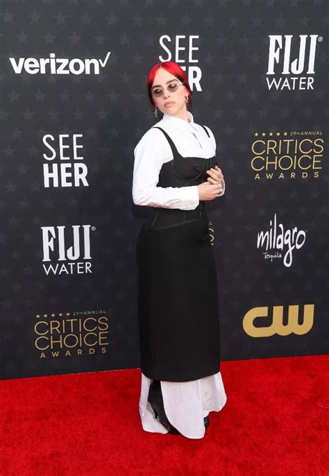 Como Fue La 29ª Entrega De Critics Choice Awards 2024 Perfil