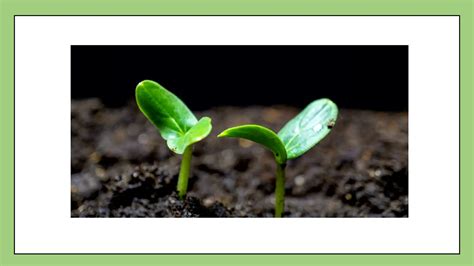 General Mathematics Functions Versus Relations Pptx