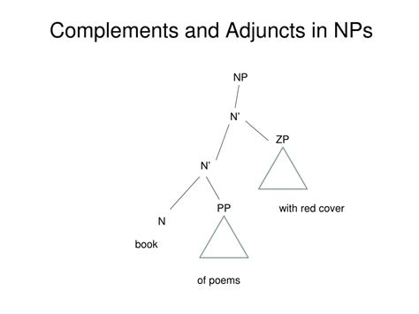 Ppt Linguistics Lecture 12 X Bar Theory Adjuncts And Complements