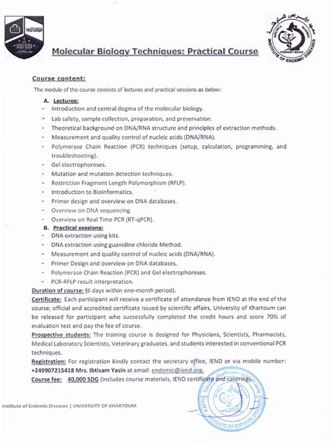 Molecular Biology Basic Course Pdf Polymerase Chain Reaction Real Time Polymerase Chain