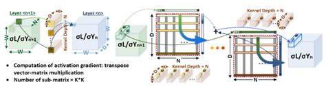 The Computation Of Error In Cim During Backpropagation Based On Novel