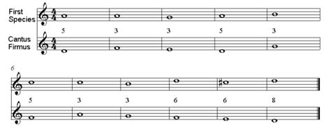 Species Counterpoint