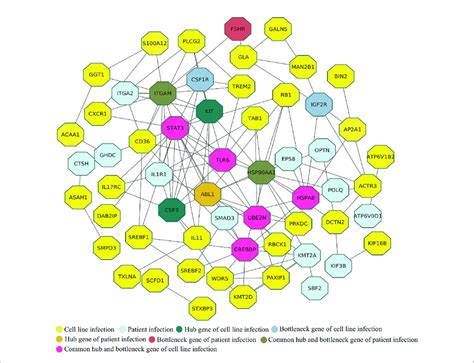 Protein Interaction Analysis Among Uniquely Identified Immune System
