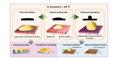 1000 °c High Temperature Wetting Behaviors Of Molten Metals On Laser Microstructured Metal