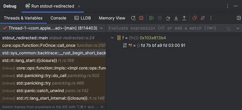Debug Tool Window Rustrover Documentation
