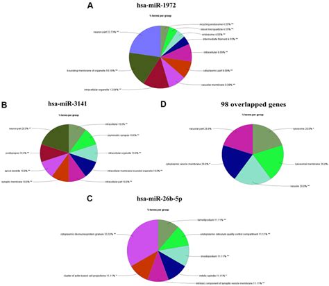 Functional Enrichment Analysis Of Mirna Targets Using Cytoscape A C
