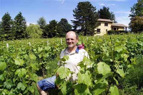 Thevenet Patrick Anima Vinum Fr