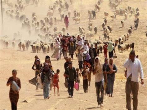 Migration Climatique Exemple Découvrez Des Témoignages Poignants De