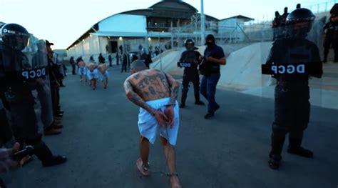 문신 조폭들 단체로 ‘토끼뜀 식사는 콩·쌀뿐 엘살바도르 교도소 직접 가본 유튜버