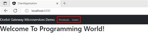 Microservices Implementation With Ocelot Gateway Using Net Core 6 Api And Angular 14