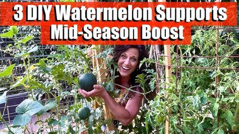 Easy Watermelon Trellis