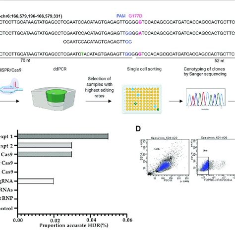 workflow for early single cell sorting and high throughput