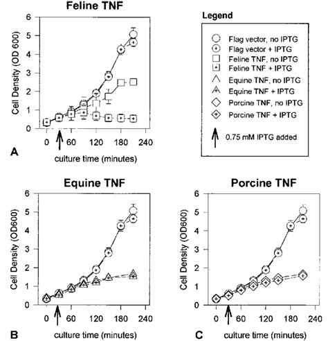 Effects Of Tnf Expression On Bacterial Cell Growth The Cell Densities Download Scientific