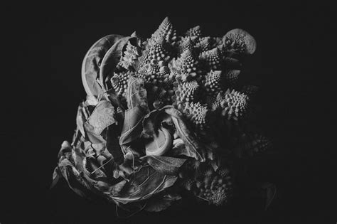 El Conjunto De Mandelbrot Caixa Fosca Fotografia