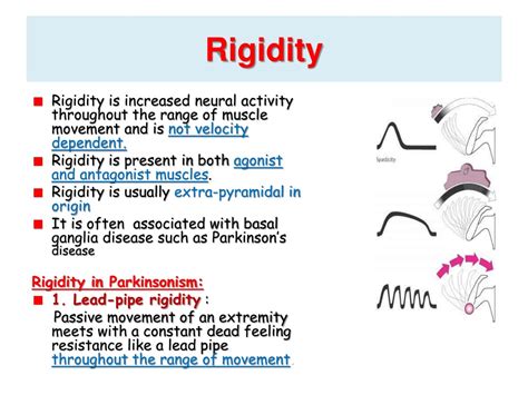 Define Torsional Rigidity At John Keys Blog