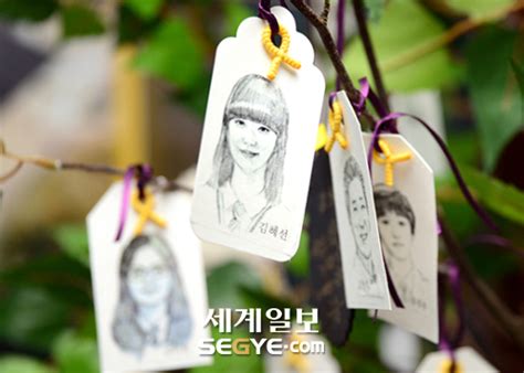 [기획] 4·16 기억교실…세월호 아픔 2016년을 보내며 그날을 기억하다 세계일보