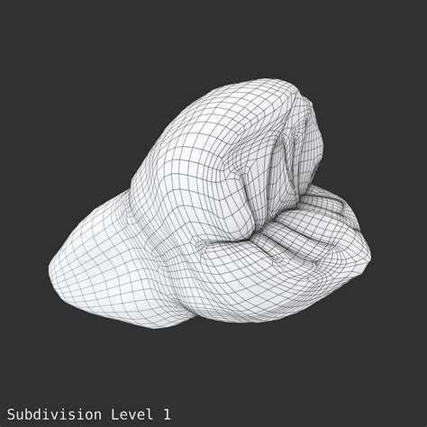 3d Upper Second Left Bicuspid Model Turbosquid 1283392