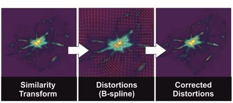 Using Simpleelastix To Compare Pre And Post Expansion Microscopy