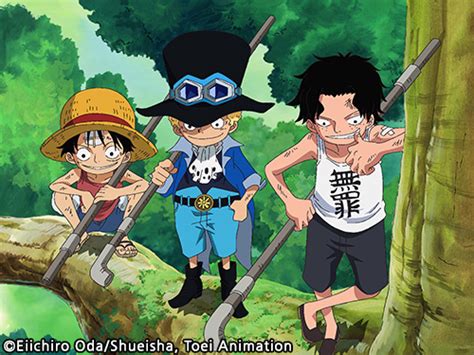 애니원 애니박스 Tv 최초 방영 아시아경제