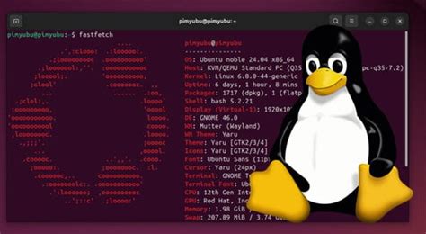 Get Your Public IP Address Using Curl On Linux Pi My Life Up