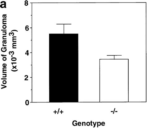 Impaired Lung Granuloma Formation And Type 1type 2 Cytokine Balance In