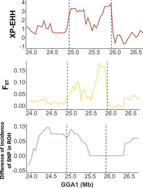 Runs Of Homozygosity And Selection Signature Analyses Reveal Putative Genomic Regions For