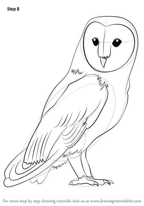Easy To Draw Realistic Owl At Delora Laura Blog