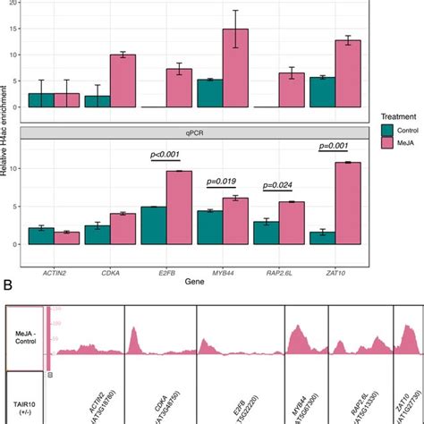 Chip Quantitative Polymerase Chain Reaction Validation Of Chip Seq