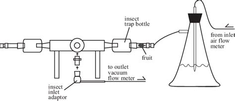 Four Arm Olfactometer Diagram And Air HumidiÞcation Apparatus
