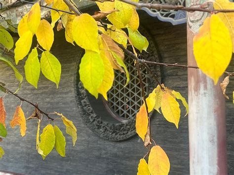 Хааны ордны намар музейн нээлттэй өдрүүд өнөөдрөөс эхэллээ