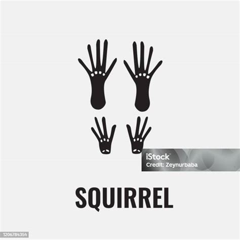 다람쥐 발자국 트레일 전면 및 후면 풋프린트 벡터 그림입니다 갈고리 발톱에 대한 스톡 벡터 아트 및 기타 이미지 갈고리 발톱 개념 걷기 Istock