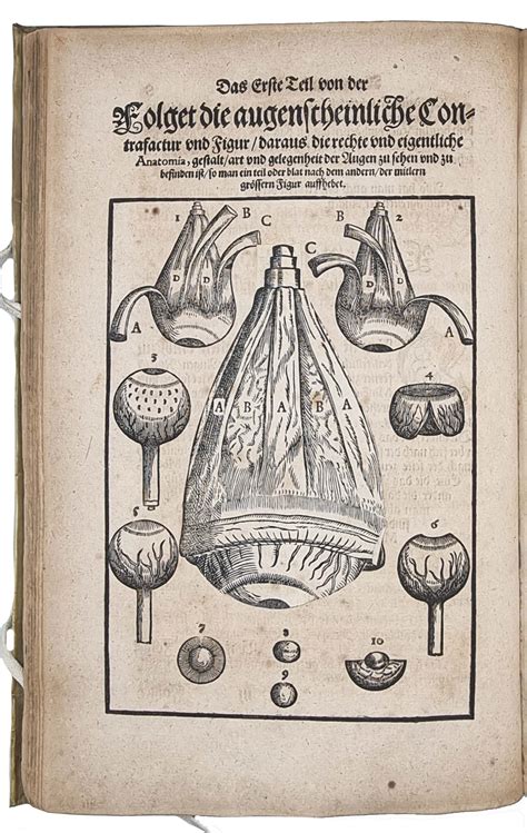 Bartisch Georg Sokol Books