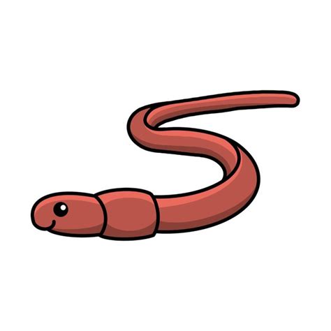 Premium Vector Worm Vector Illustration