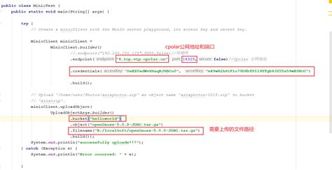 Linux本地MinIO存储服务远程调用上传文件 阿里云开发者社区