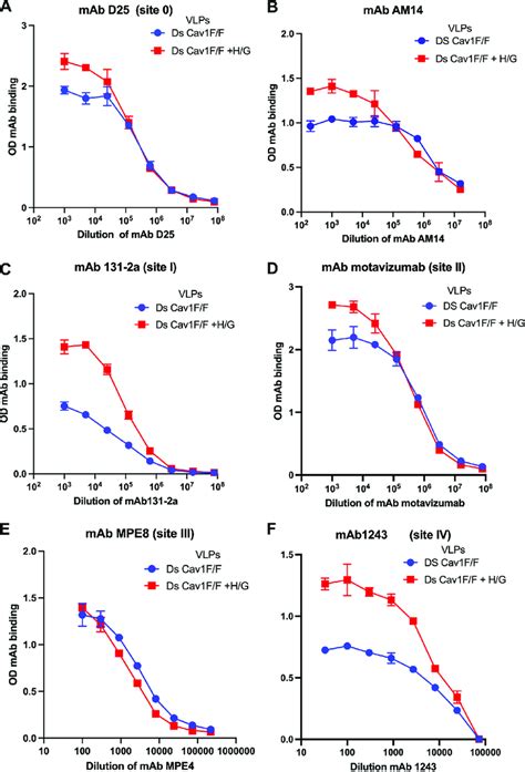 Binding Of Monoclonal Antibodies To Purified Ff1hg Vlps And Ff Vlps