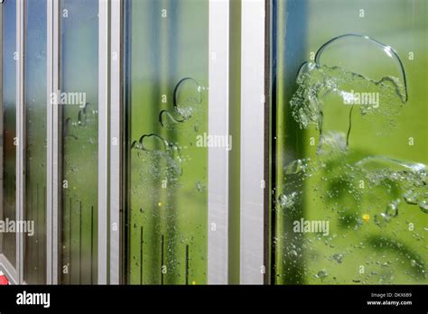 Details Bioreactor Facade Biq Algae Building Iba Internationale Bauausstellung