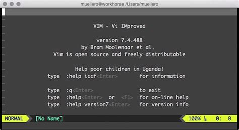 Best Vim Plugin Manager Sellinglasopa