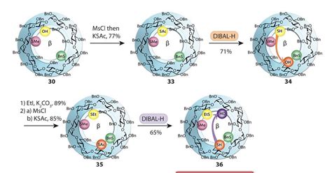 Programmed Cyclodextrin Synthesis Picks Out Specific Molecule From 117 655 Possibilities