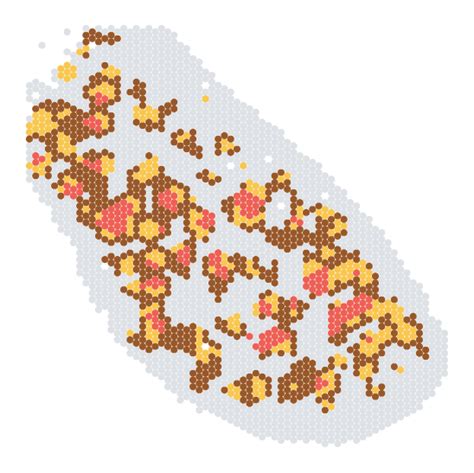 Plot The Vesicular And Smooth Structures Of The Mouse Spleen 1