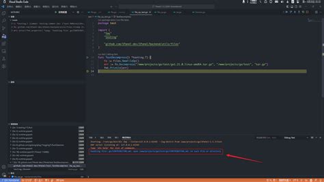 BUG 压缩包解压时可能遇到的handling file 错误 Issue Panel dev Panel GitHub