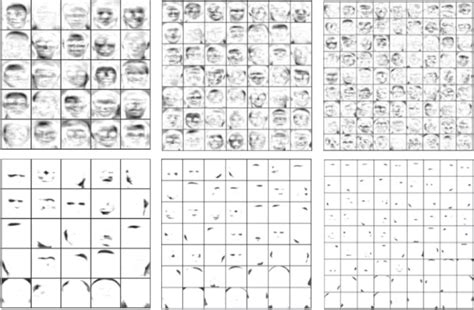 Impact Of Varying Dimensionality On The Basis Components Dimensions 25