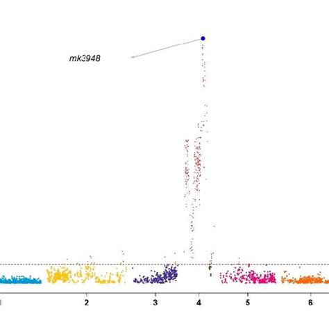 Kruskal Wallis Kw Analysis P