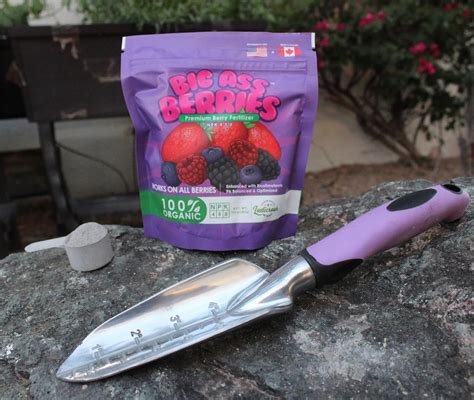 How To Fertilize Blueberries Happy Nutrients