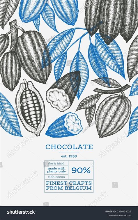 Cocoa Banner Template Chocolate Retro Cocoa Stock Vector Royalty Free 2390438029 Shutterstock