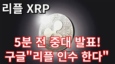 지금부터 리플 엄청난 기회입니다 이거 손놓고 기다리면 놓쳐요 Youtube