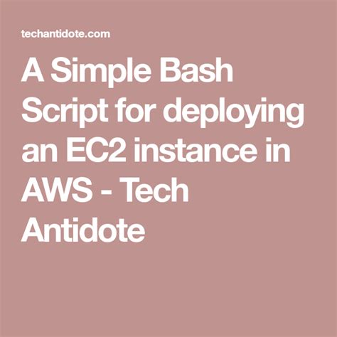 A Simple Bash Script For Deploying An Ec2 Instance In Aws Tech Antidote