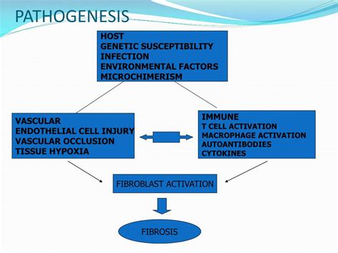 Ppt Scleroderma Powerpoint Presentation Free Download Id1441625