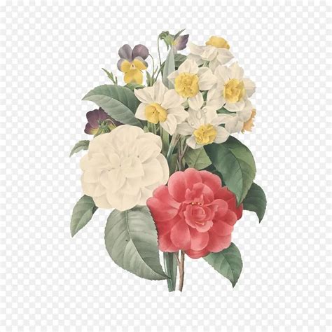 花卉手绘PNG图片素材下载 图片编号qmrbmkja 免抠素材网